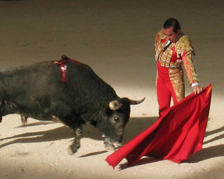 Matador Meaning