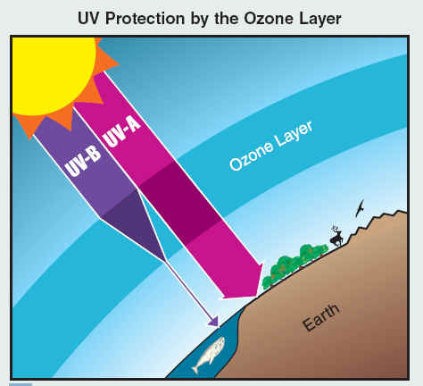 Ultraviolet Radiation