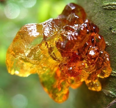 Genius | Annotate the World