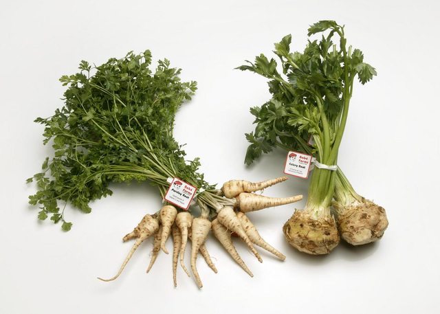 Of the karpas, – Haggadah by Baal Haggadah