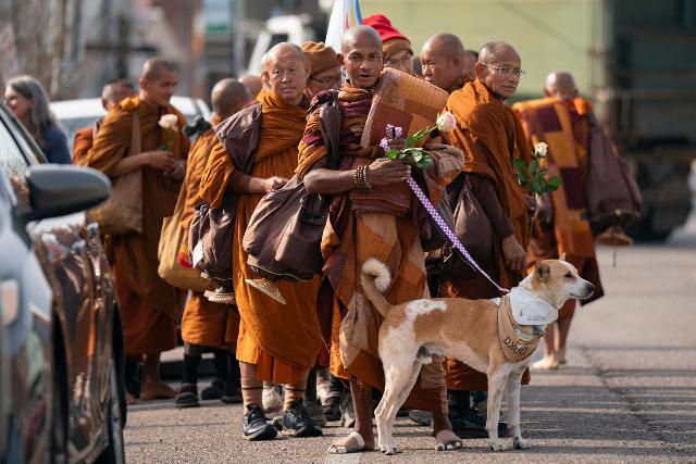 Buddhist monks and their dog captivate Americans while walking for ...