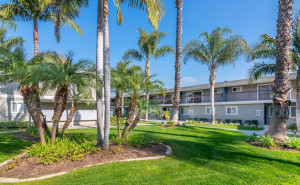 CSULB Off-Campus Housing For 2020-21 | College Pads