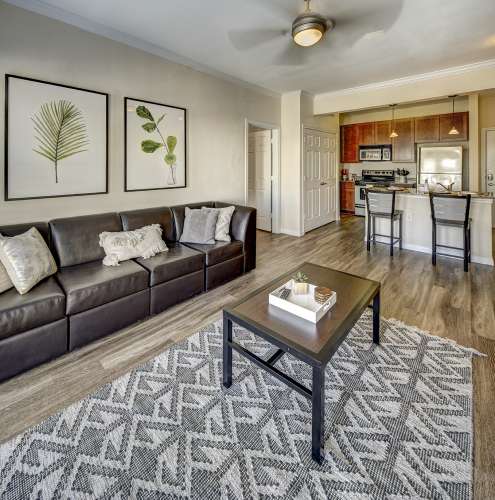 The Block On 28th | Austin TX Apartments For Rent