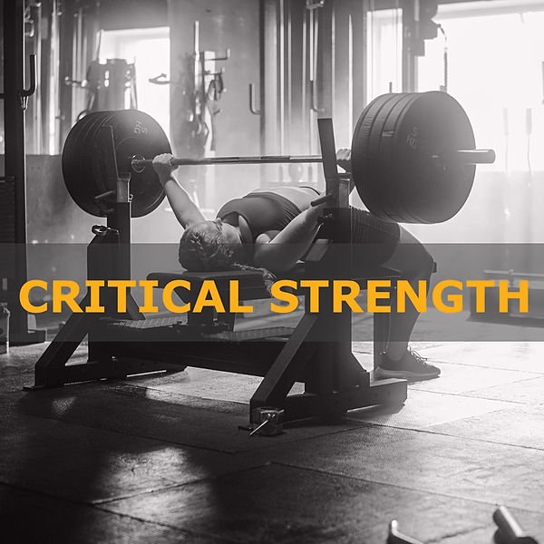 Critical Strength – Forest City Family YMCA