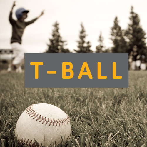 Youth Summer T-Ball – Helena Family YMCA