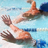 Swim Team: Swim Camps – YMCA of Reading & Berks County