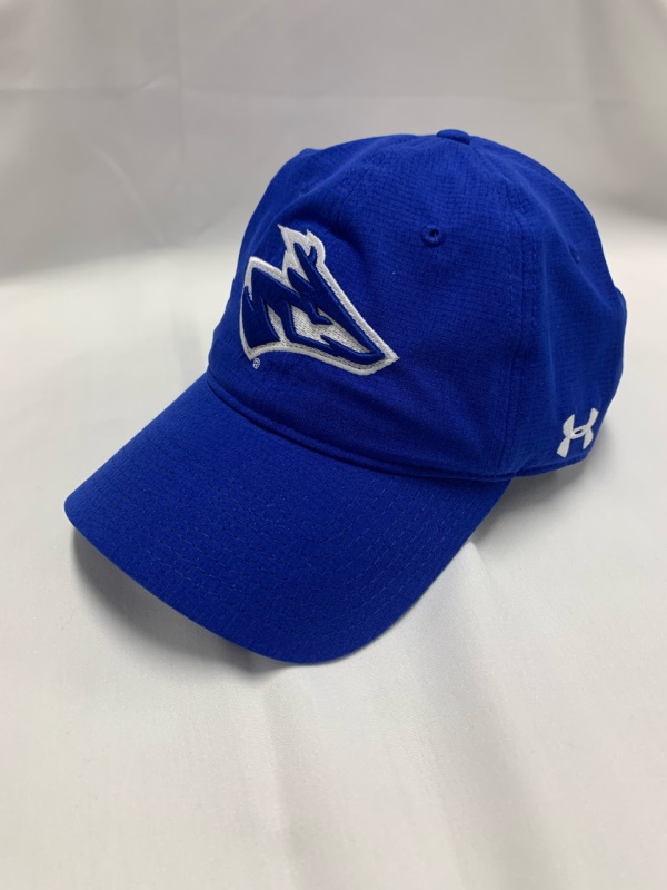 View Hat Sales Details
