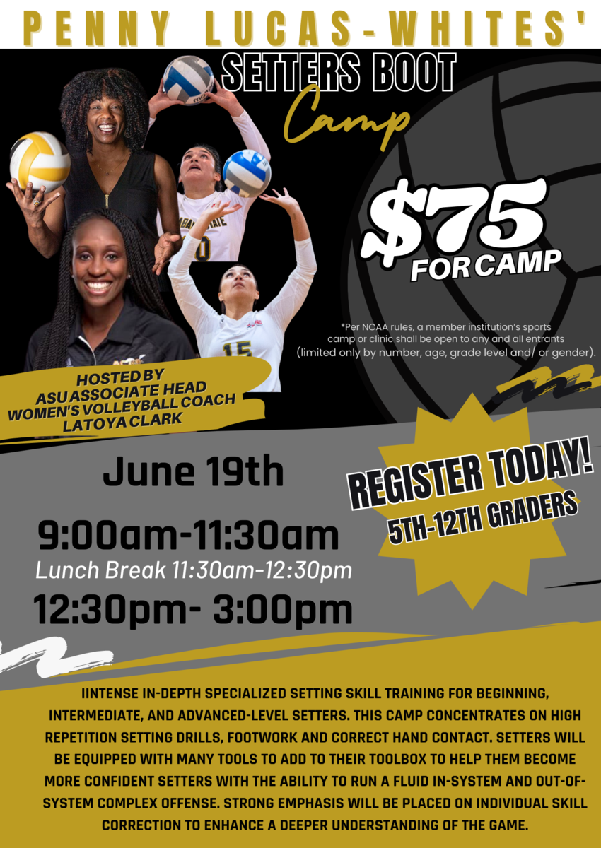 View Penny Lucas-White Setters Boot Camp (June 19th) Details