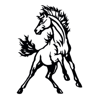 Reunion 2025 - Wheeler Mustangs Alumni