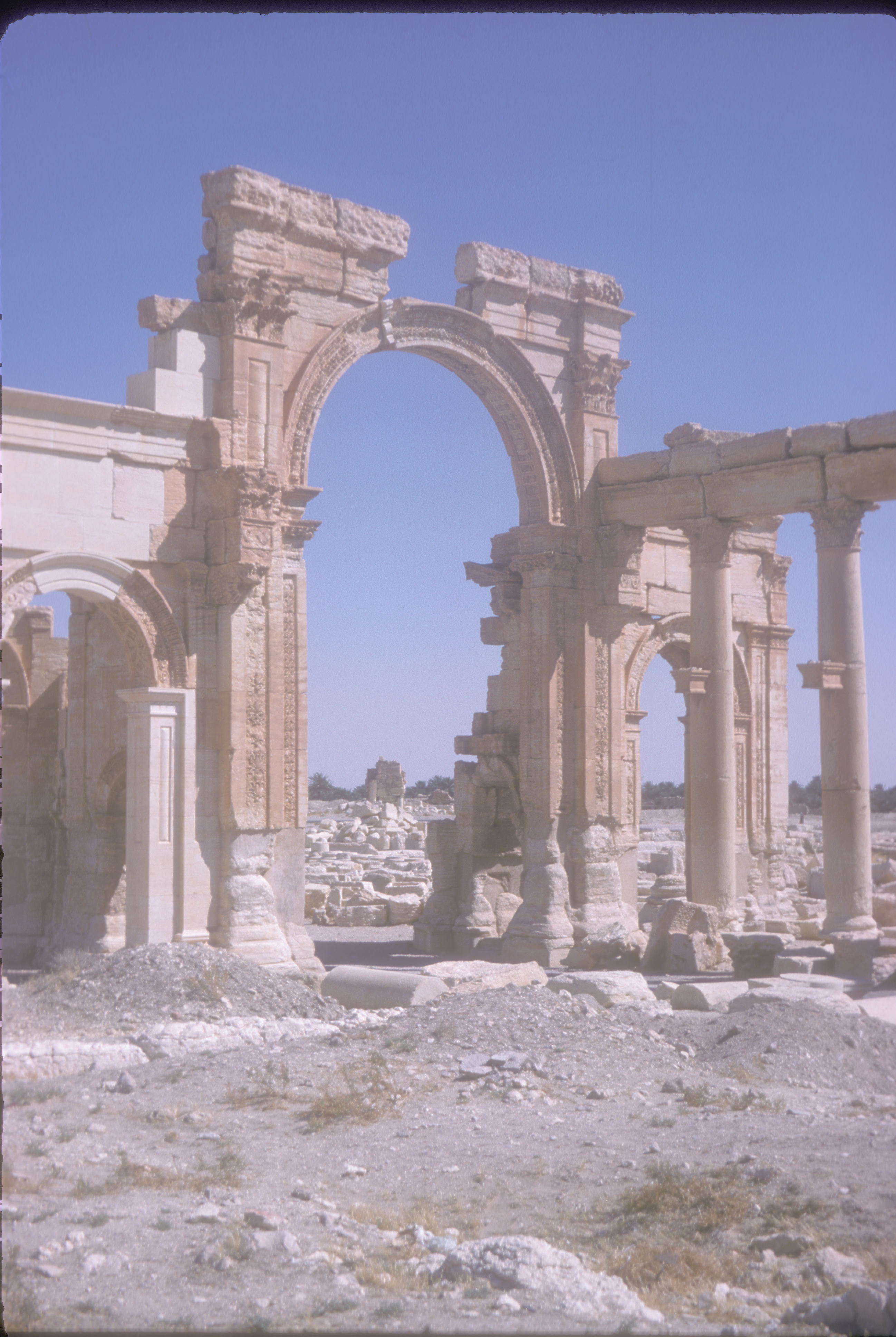 Palmyra | Rekrei