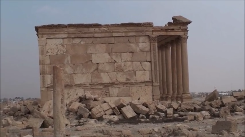 Palmyra | Rekrei