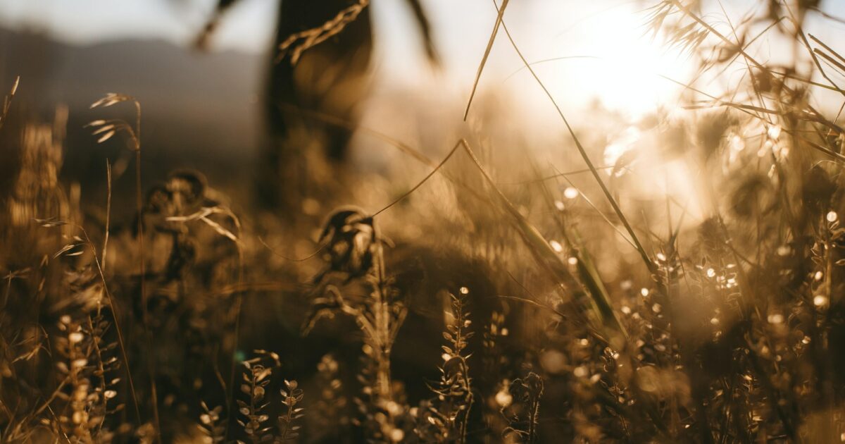 Now is the Dwelling Place of God Himself - Thomas R. Kelly | Renovaré