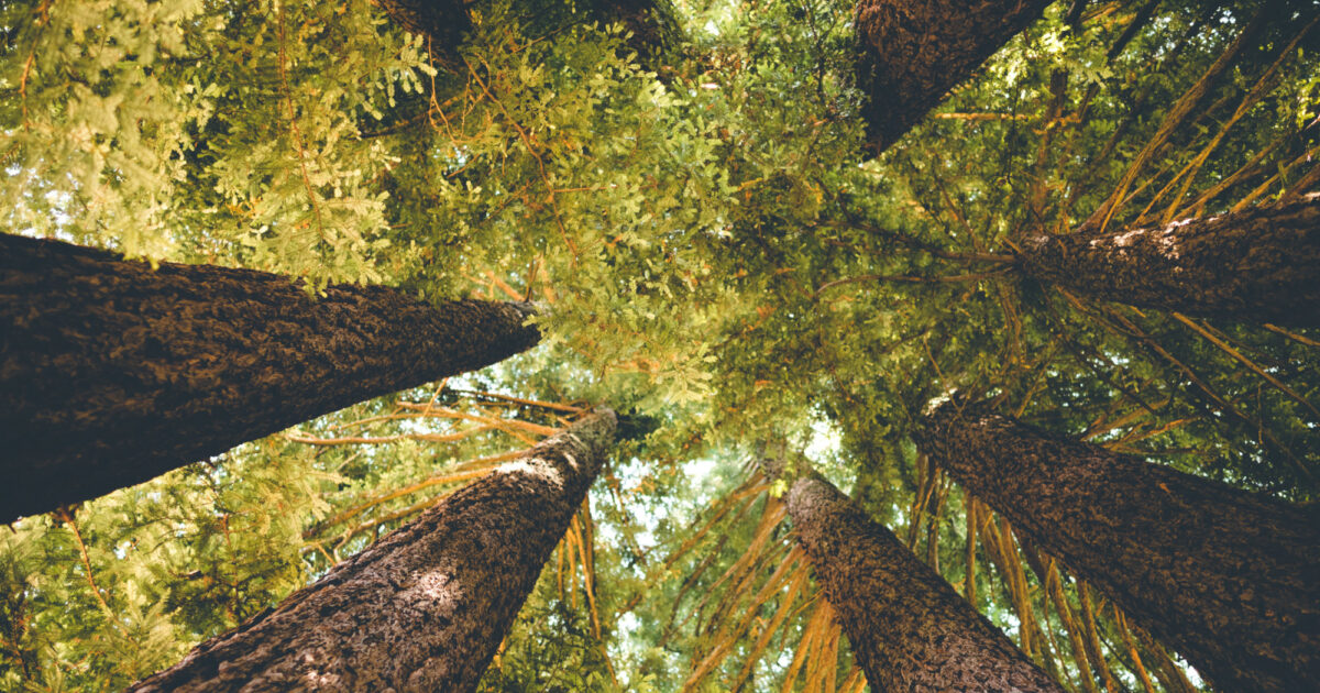 Life from the Center - Thomas R. Kelly | Renovaré