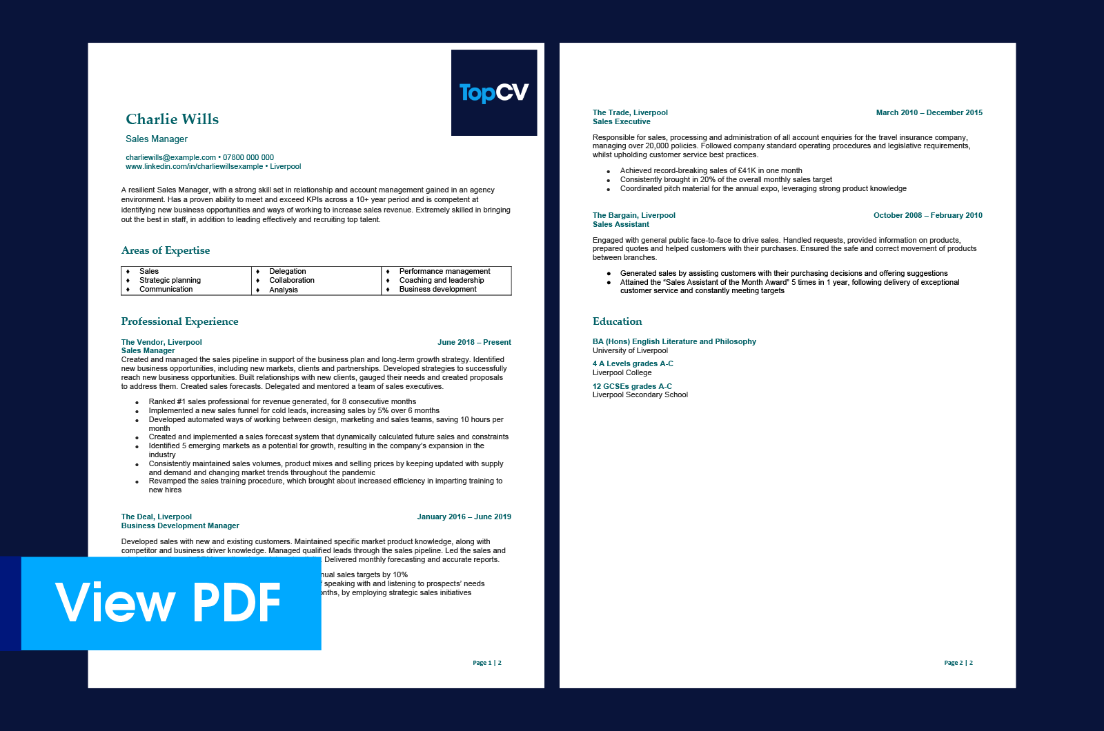 How to write a sales CV | TopCV