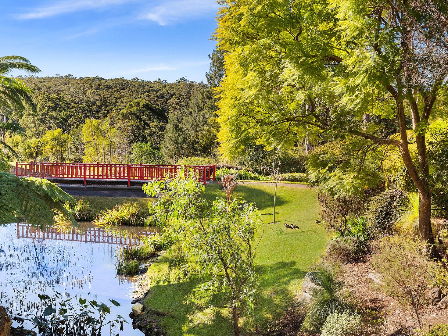 Retirement Living For Sale North Turramurra NSW 2074 | 211/381 Bobbin ...