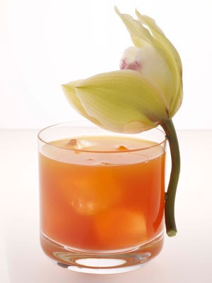 Dragonfly Punch | Cocktail Recipes