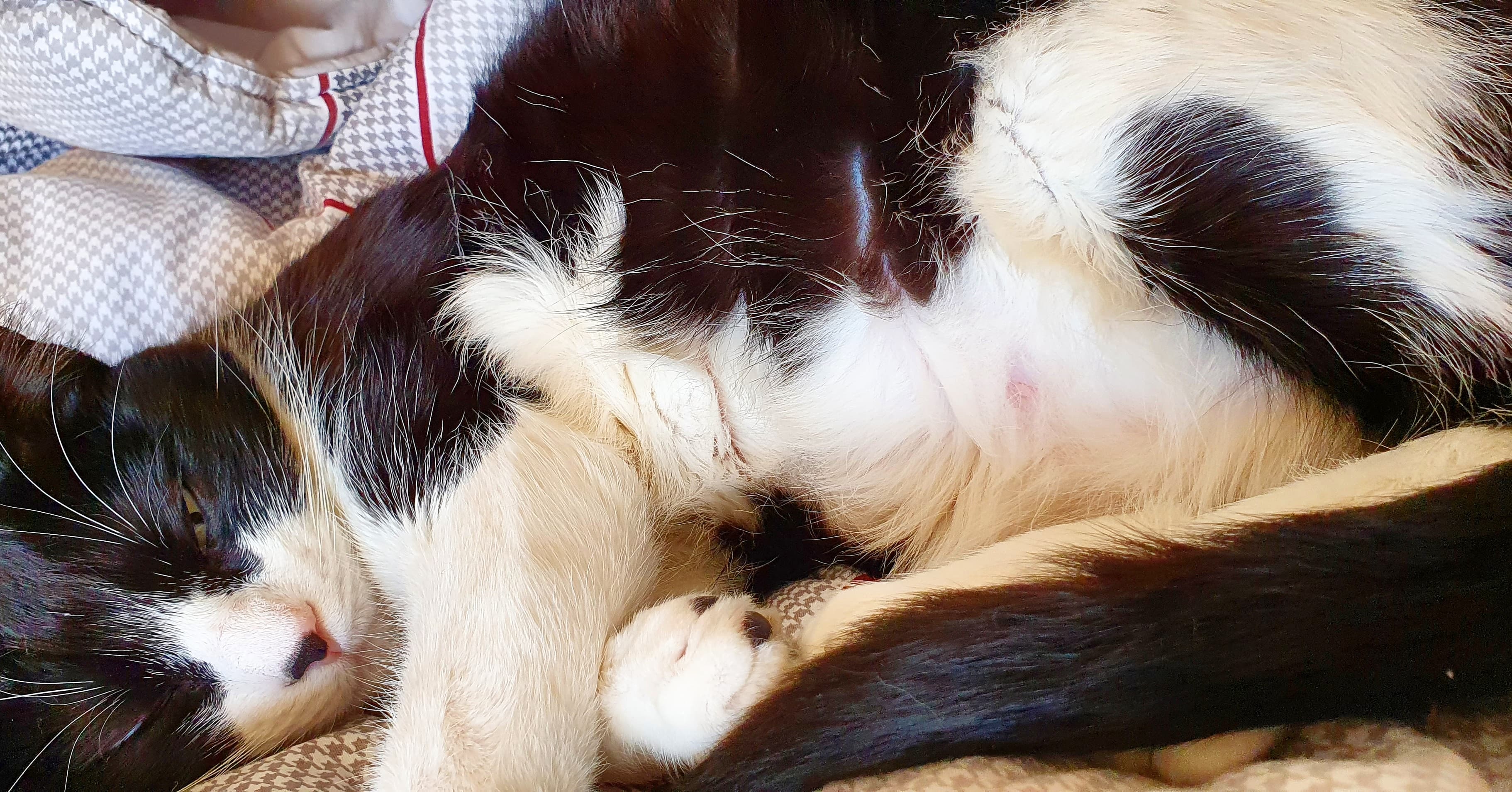 veja bem, são questães | fernanda | Substack