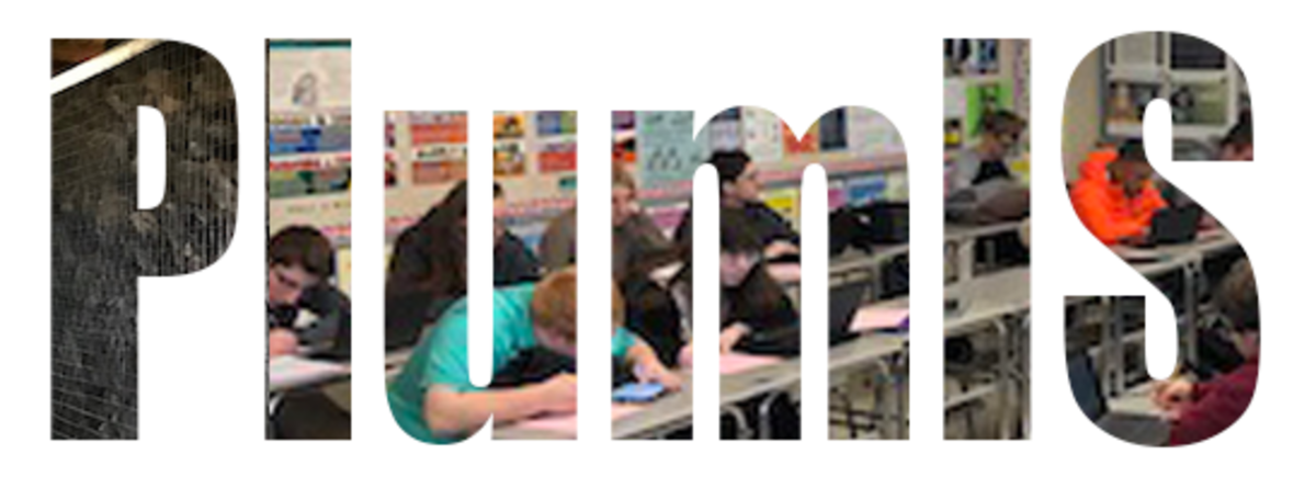 PlumIs - January 2020