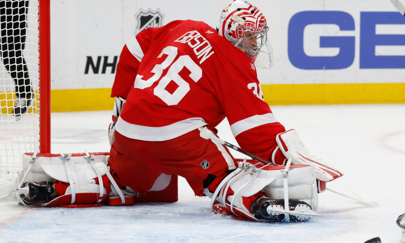 NHL DFS Picks: DraftKings Expert Survey for Monday, January 12th