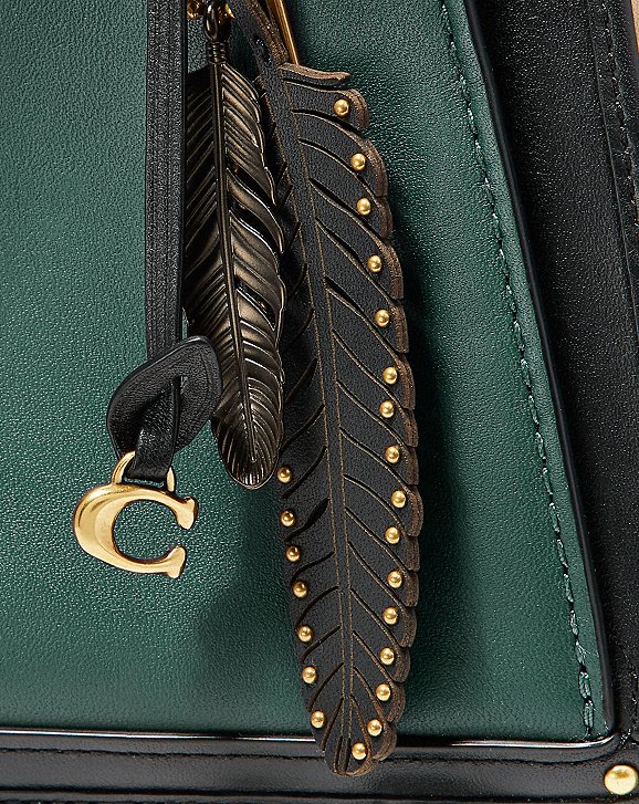 Coach Dreamer Bag 2018 | IUCN Water