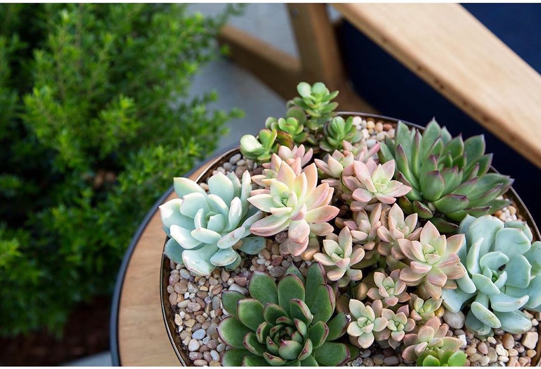 In This Landscape, Andrea Scharff’s Work is a Breath of Fresh Air