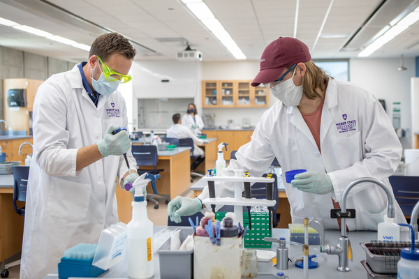 Weber State University