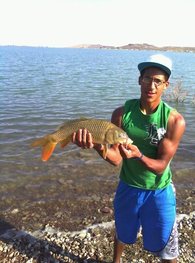 Dominique Williams's Men's Basketball Recruiting Profile