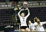 Anne Haley's Women's Volleyball Recruiting Profile