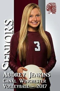 Audrey Jenkins's Women's Volleyball Recruiting Profile