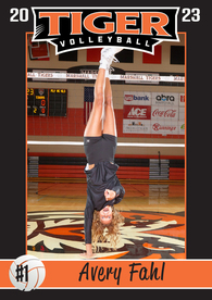 Avery Fahl's Women's Volleyball Recruiting Profile