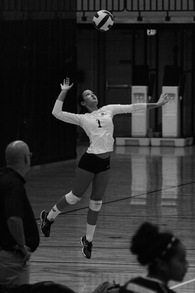 Madison Tapp's Women's Volleyball Recruiting Profile