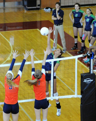 Caroline Ostman's Women's Volleyball Recruiting Profile