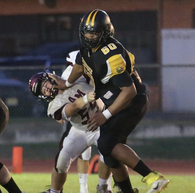 Darius Palmer's Football Recruiting Profile