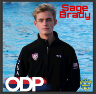 Sage Brady's Men's Water Polo Recruiting Profile