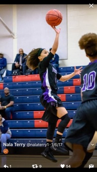 Nala Terry's Women's Basketball Recruiting Profile