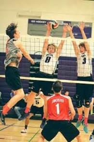 Alex Andrzejewski's Men's Volleyball Recruiting Profile