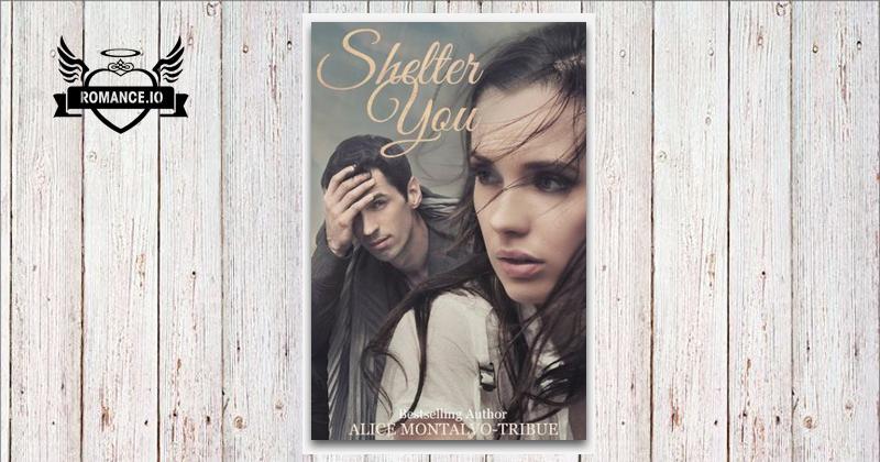 Shelter You by Alice Montalvo-Tribue