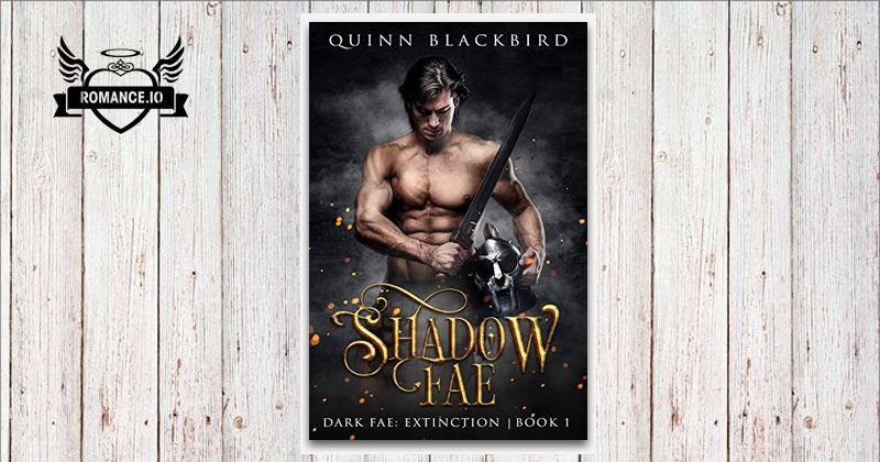 Shadow Fae by Quinn Blackbird