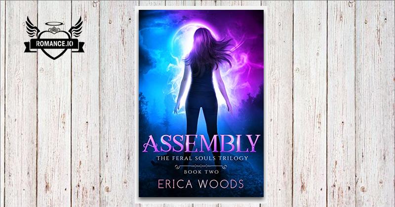 Assembly by Erica Woods