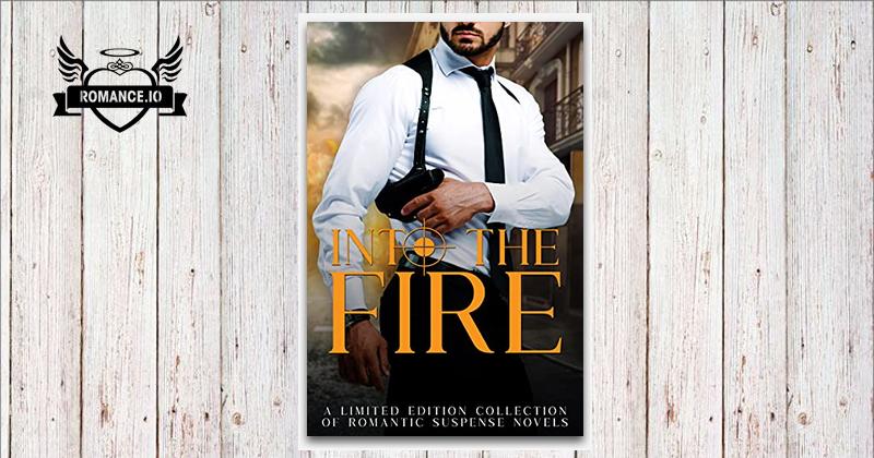 Into the Fire by Stephanie Morris, S.L. Sterling, Krista Ames, Celeste ...