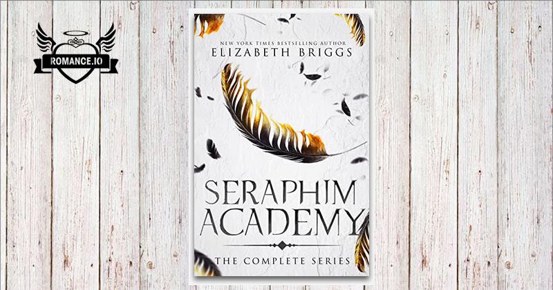 Seraphim Academy: The Complete Series by Elizabeth Briggs