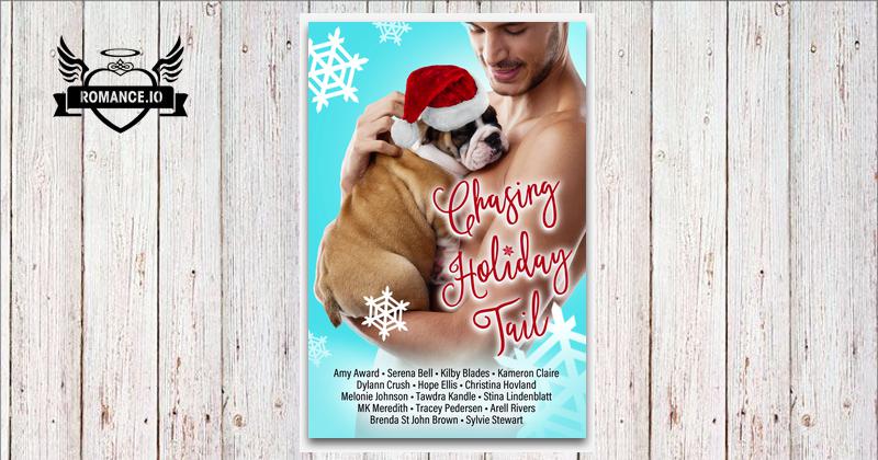 Chasing Holiday Tail: A Holiday Rom-Com Charity Anthology by Kameron ...