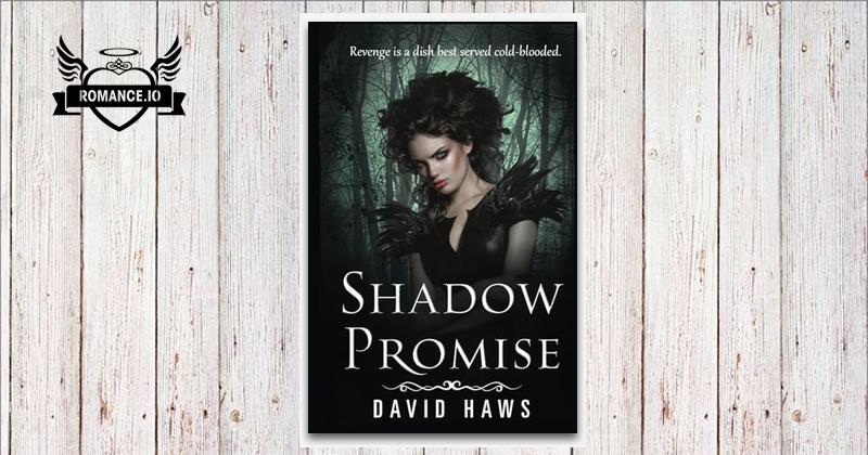 Shadow Promise by David Haws