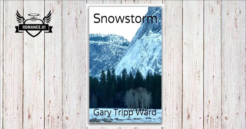 Snowstorm by Gary Tripp Ward