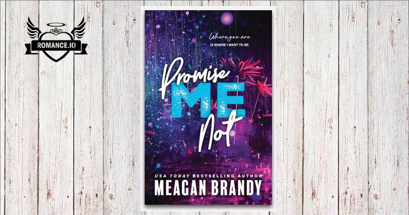 Promise Me Not by Meagan Brandy