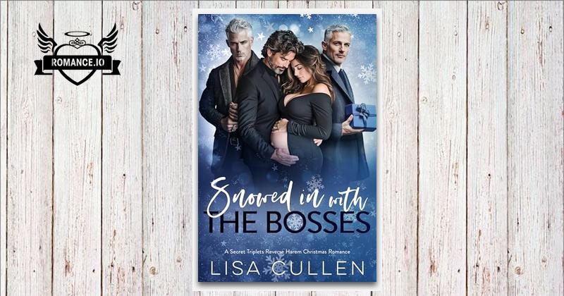 Snowed In with the Bosses: A Secret Triplets Reverse Harem Christmas ...