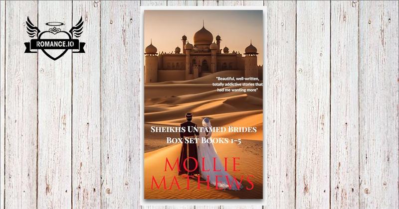 Sheikhs Untamed Brides Box Set Books 1-5: Enemies to Lovers, Second ...