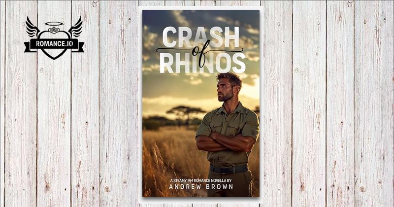 Crash of Rhinos by Andrew Brown