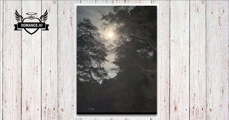 SHADOW MOON by debbie smoak, CINDY MEDDERS