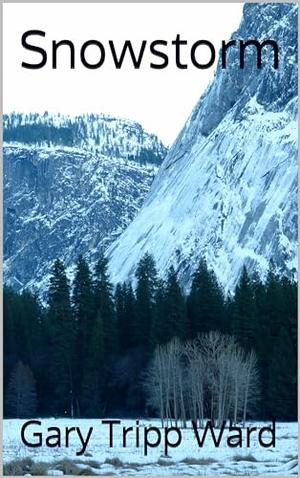 Snowstorm by Gary Tripp Ward